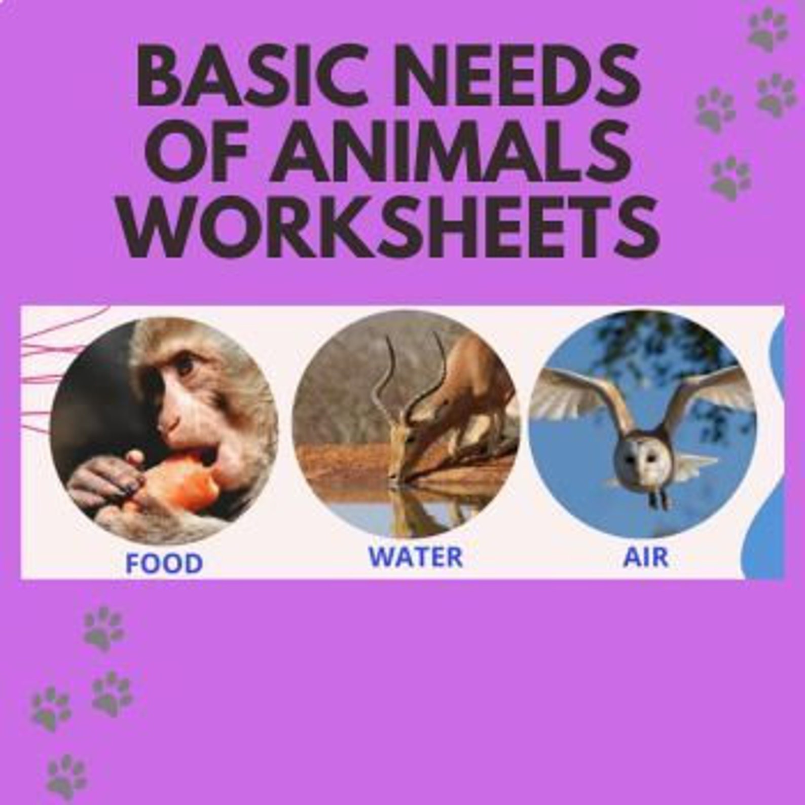 Basic Needs of Animals Printable Worksheets Match the Correct Items ...