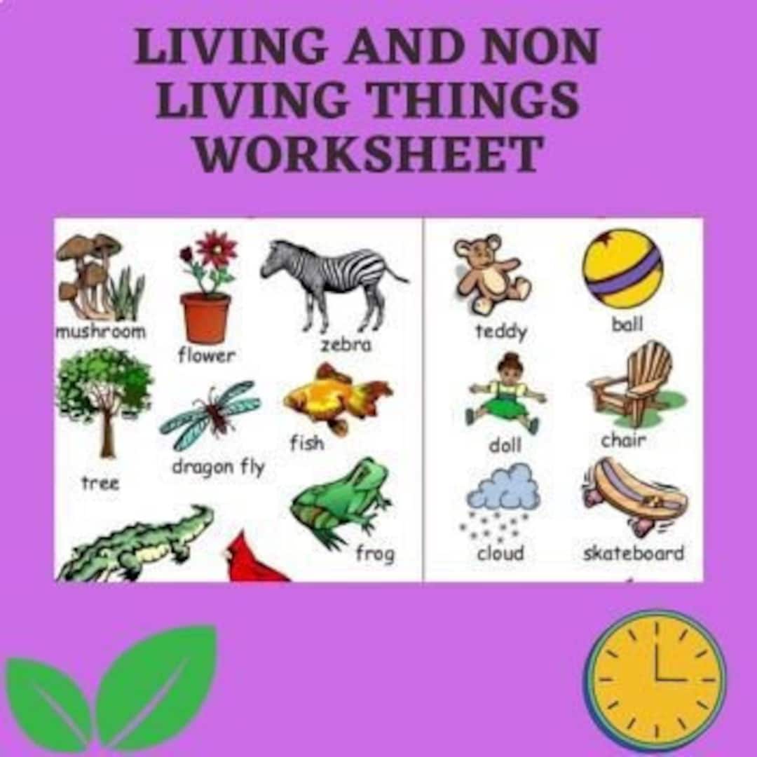 Identify Living and Non Living Things Worksheet Printable for Kids - Etsy