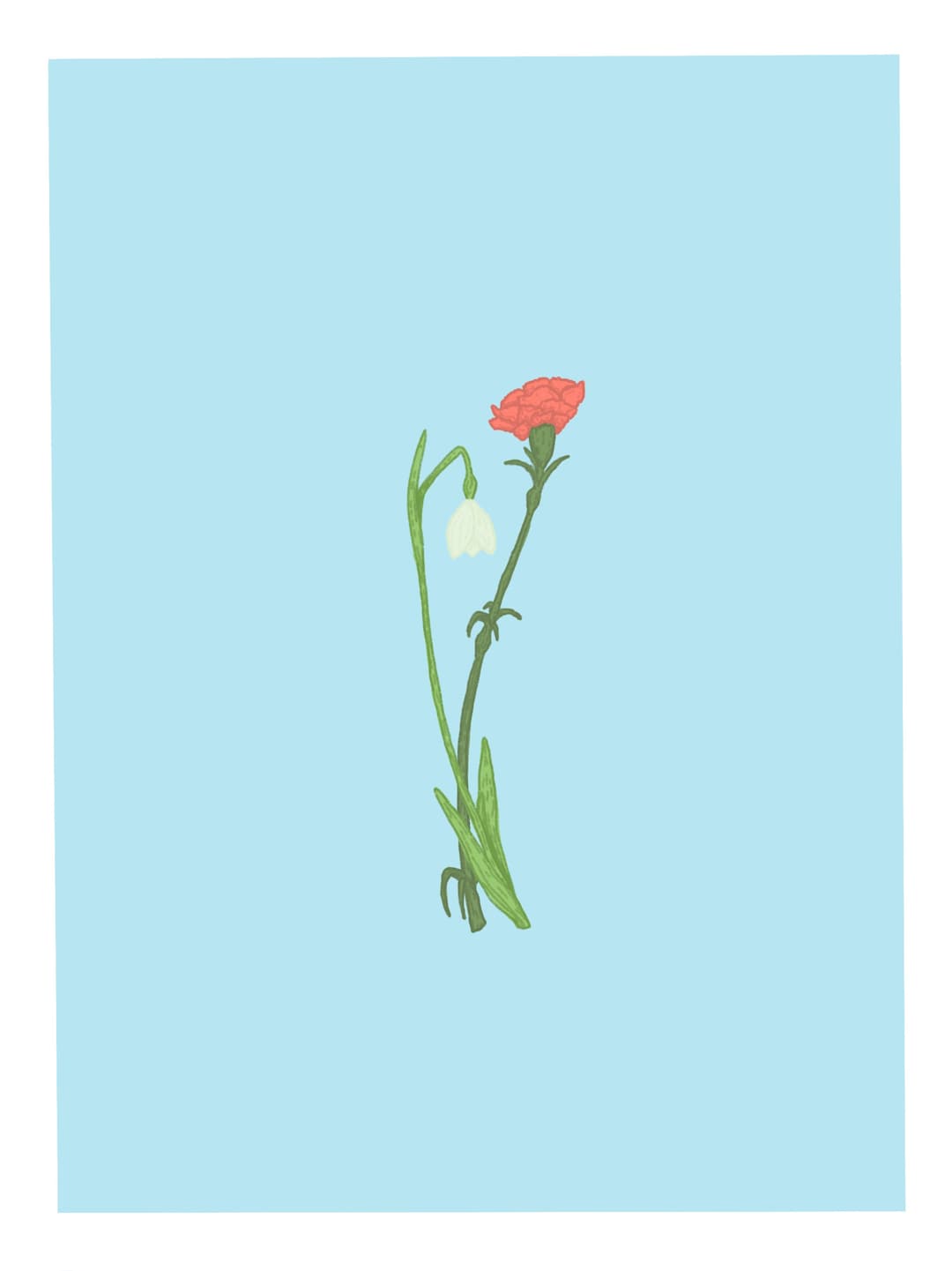 January Birthflowers - Etsy