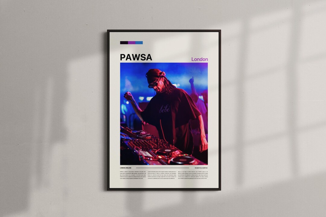PAWSA DJ Poster - Etsy