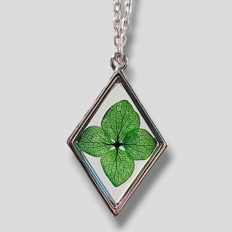 Dried 4 Leaf Clover - Etsy