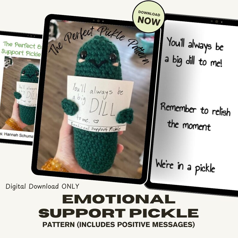 The Perfect Pickle Pattern (pdf Digital Download) - Etsy