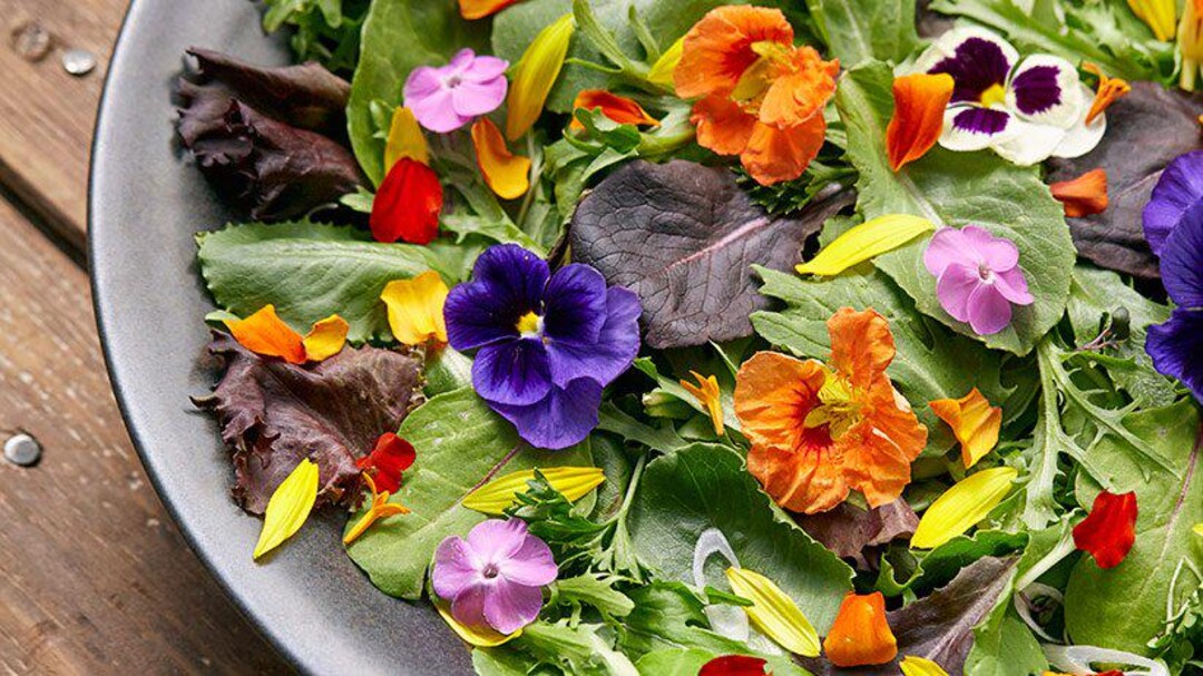 200 Edible Flower Seed Mix. Ships Free. - Etsy