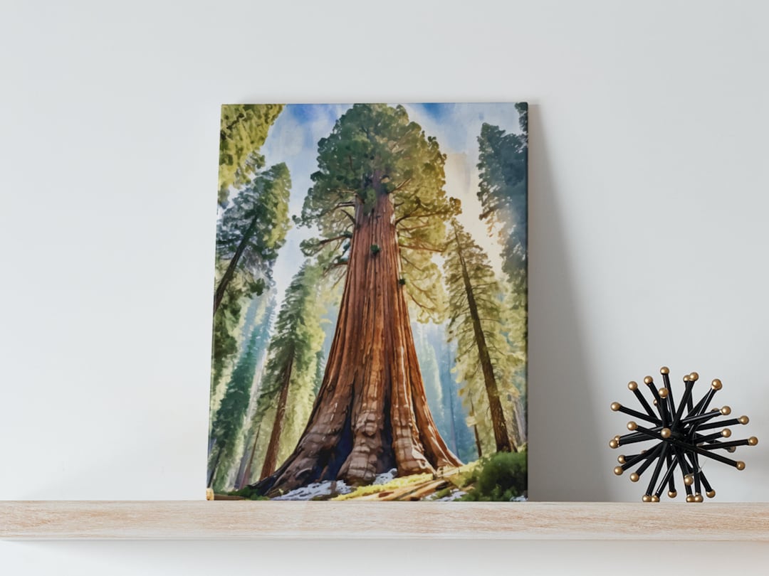 Sequoia Watercolor Art Canvas - General Sherman, National Park Gifts ...