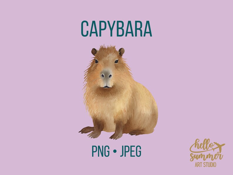 Capybara Watercolor Clipart Png, Jpeg Capybara Clip Art, Cricut Art ...