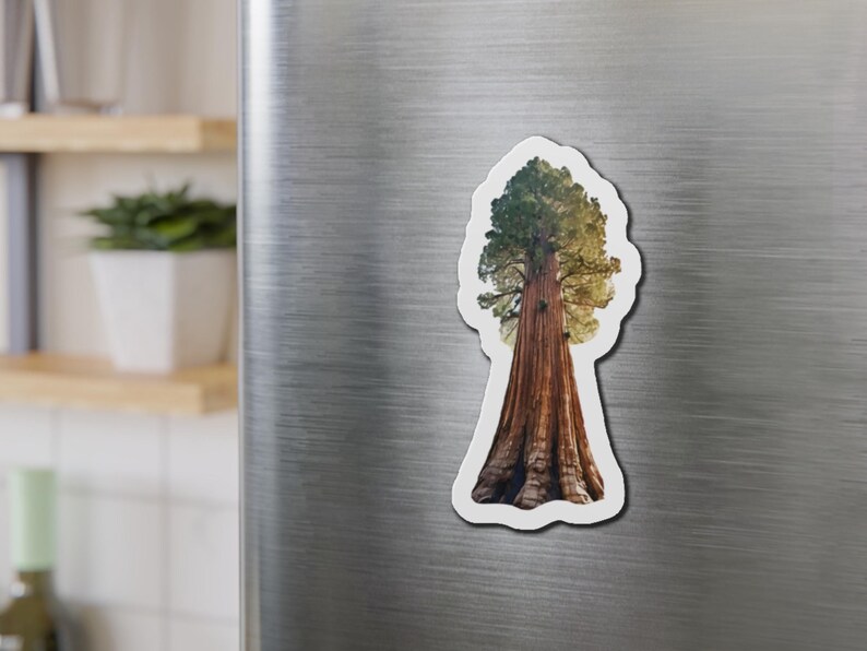 Sequoia Sticker - California, National Park Sticker, General Sherman ...