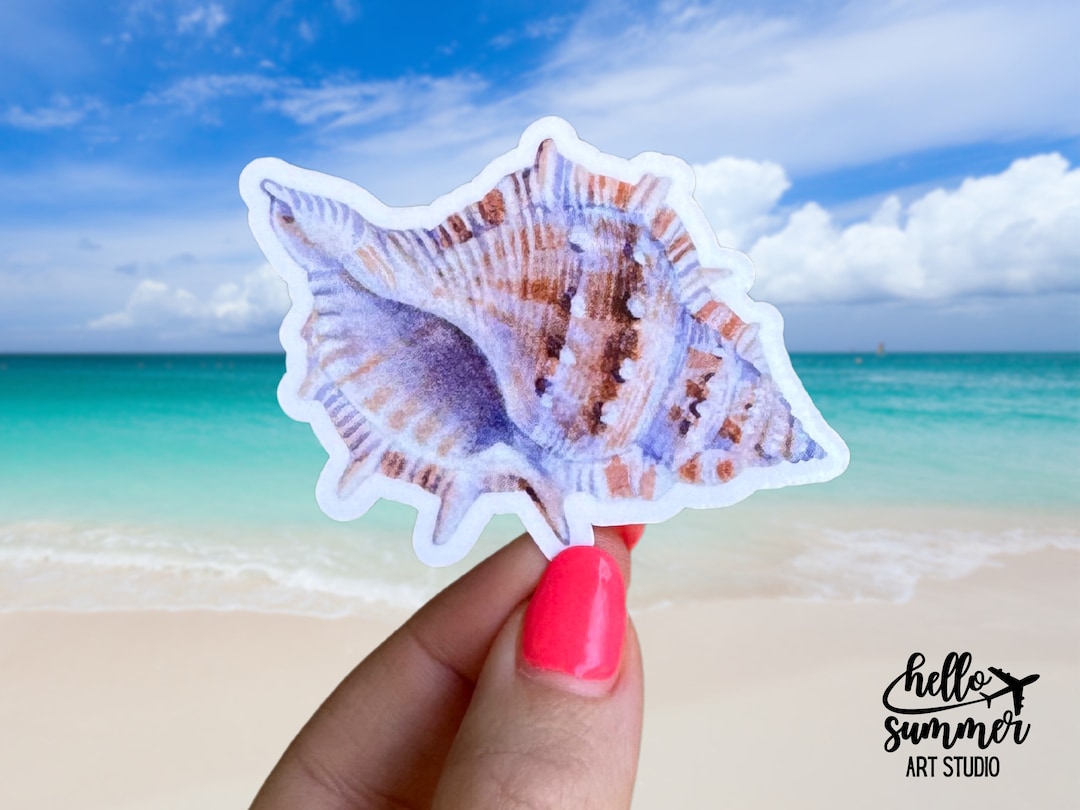 Conch Seashell Sticker Watercolor Beach Sticker, Sea Shell Sticker ...