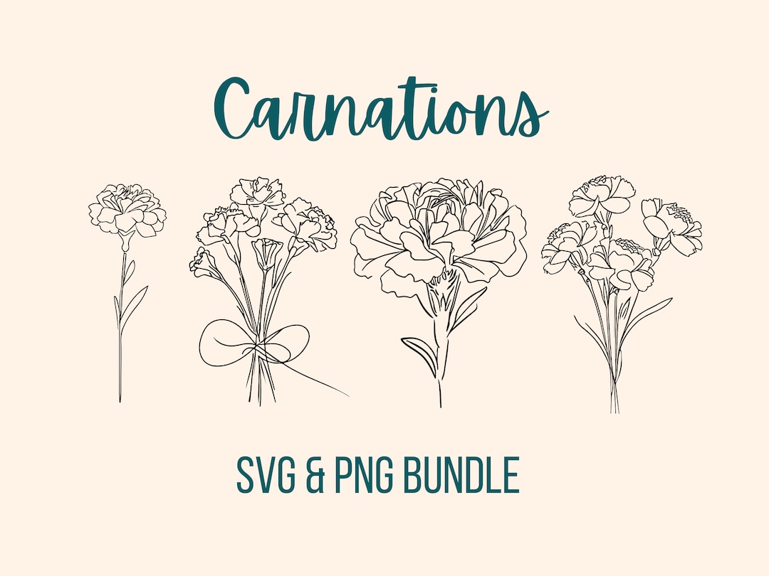 Carnation Svg, Png, Jpeg Carnations, Flower, Floral, Flower Clipart ...