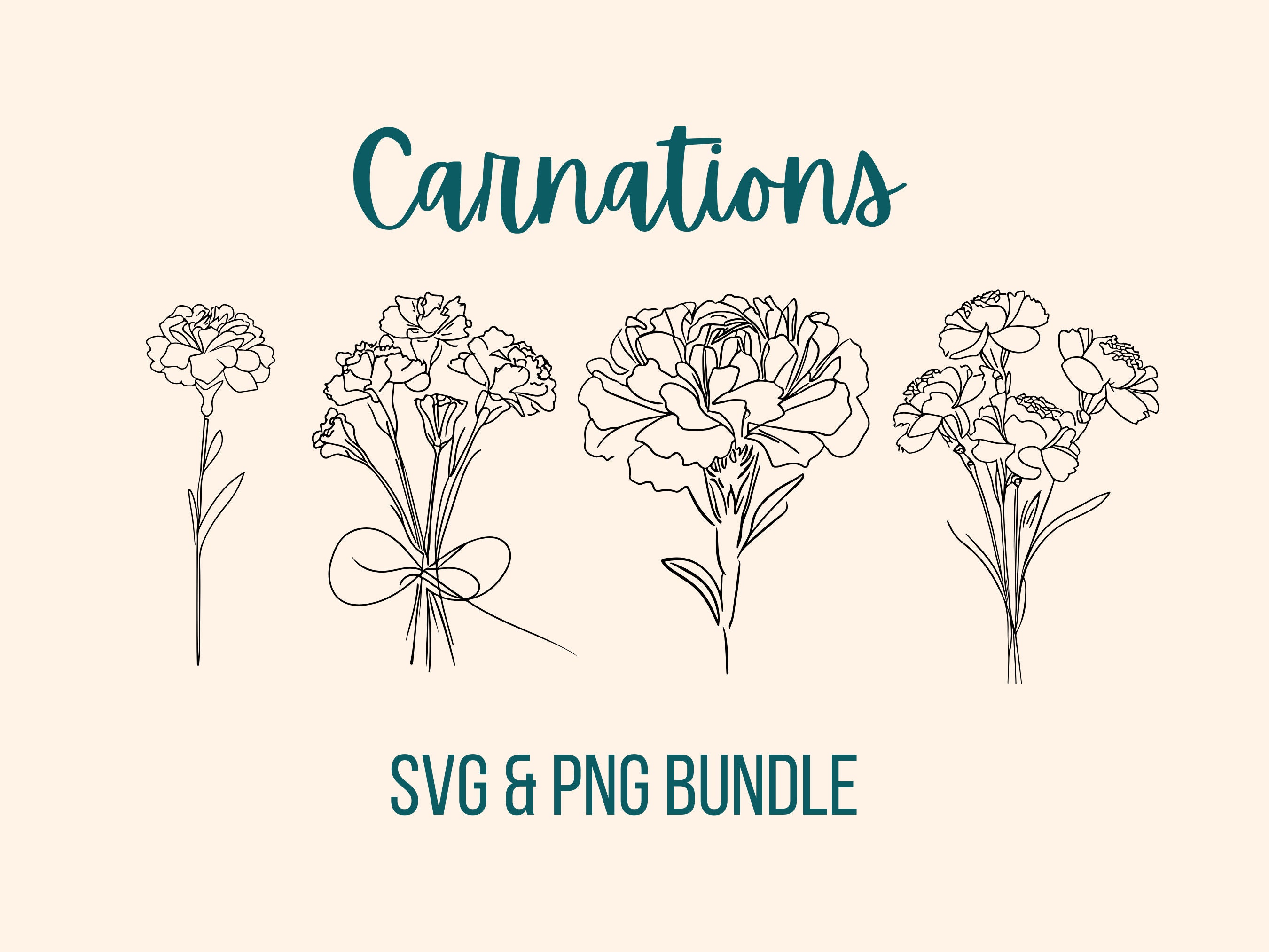 Carnation Svg, Png, Jpeg Carnations, Flower, Floral, Flower Clipart ...