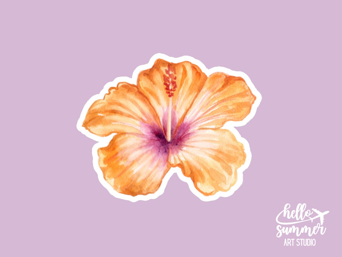 Orange Hibiscus Sticker - Flower Sticker, Watercolor Art, Souvenir ...