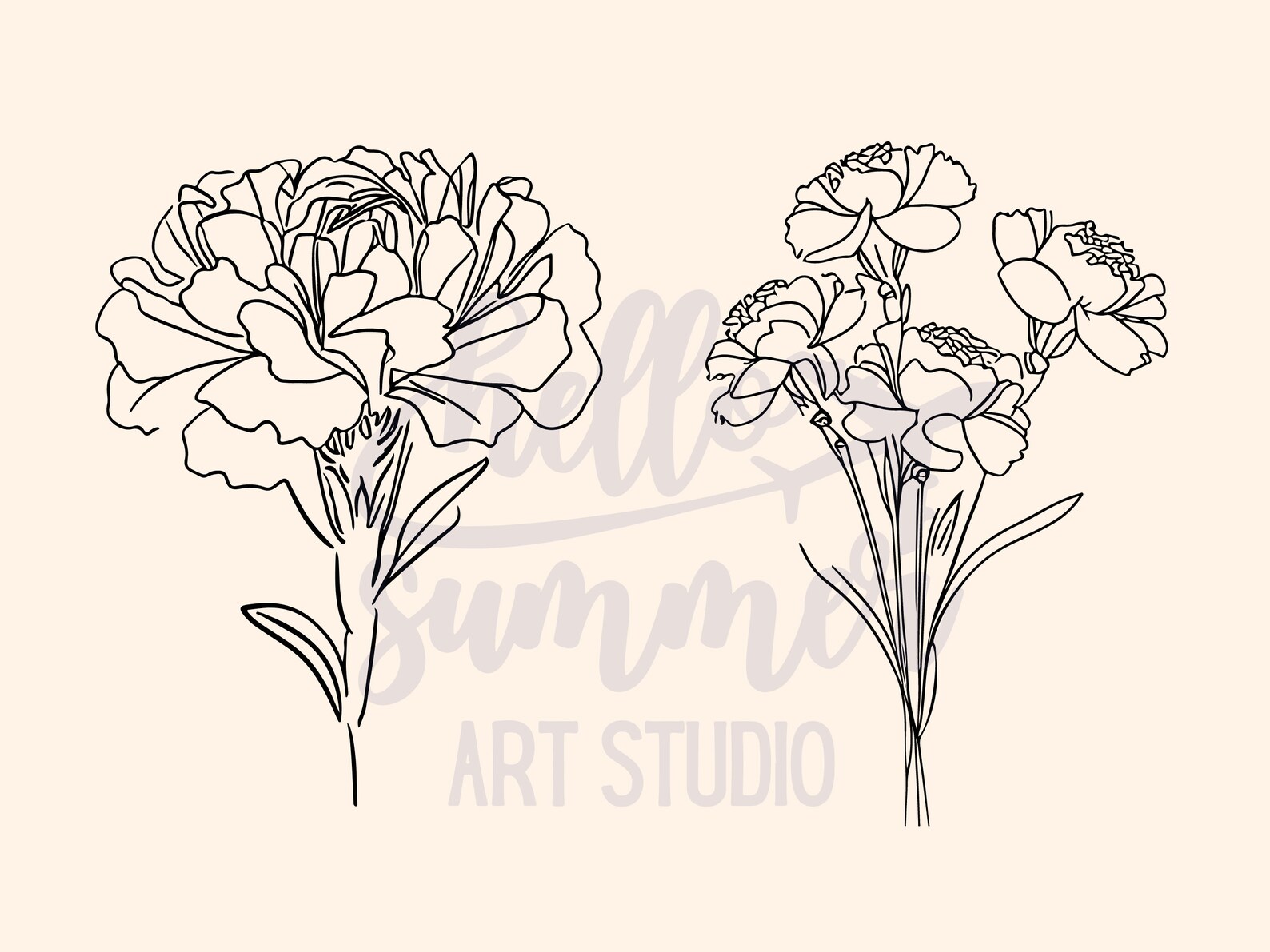 Carnation Svg, Png, Jpeg Carnations, Flower, Floral, Flower Clipart ...