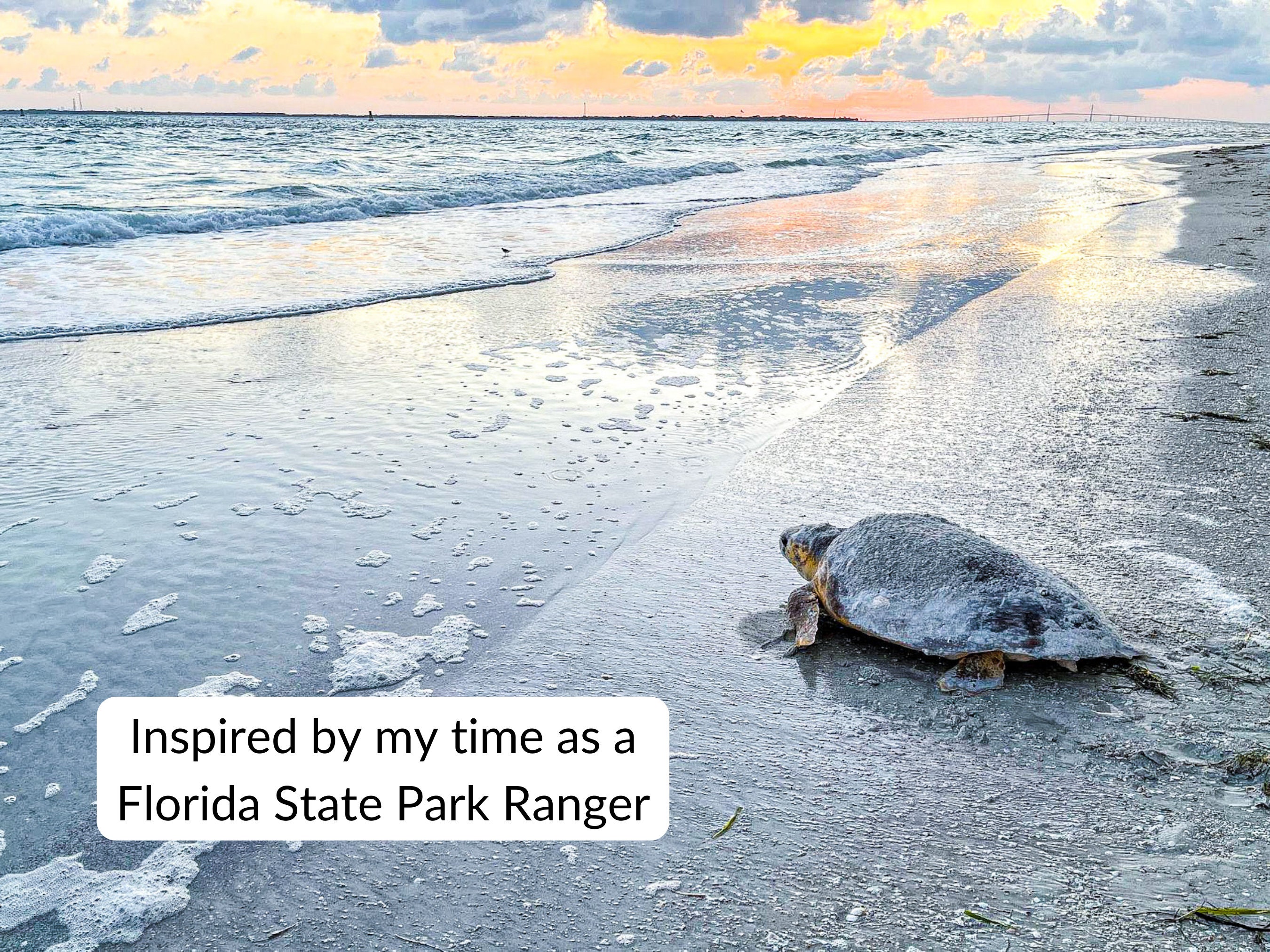 Sea Turtle Sticker Watercolor Beach Sticker, Bahamas Sticker, Island ...