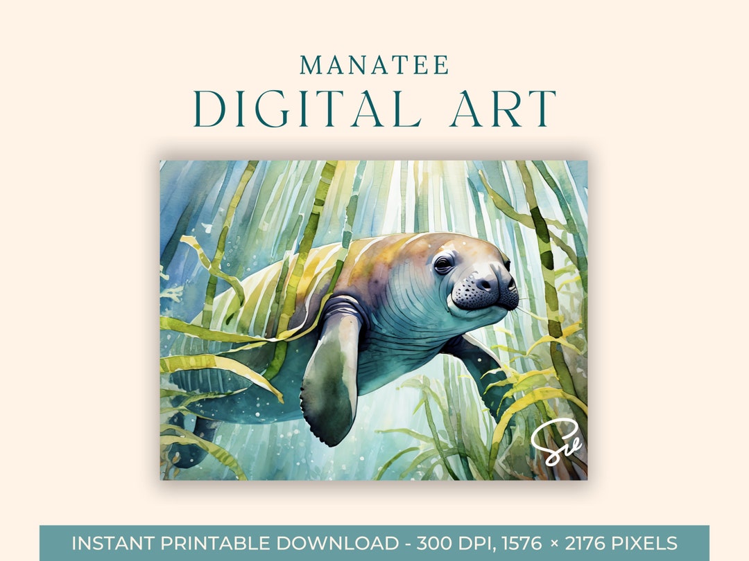 Manatee Watercolor Painting (DIGITAL ART) Florida, Coastal, Weeki ...