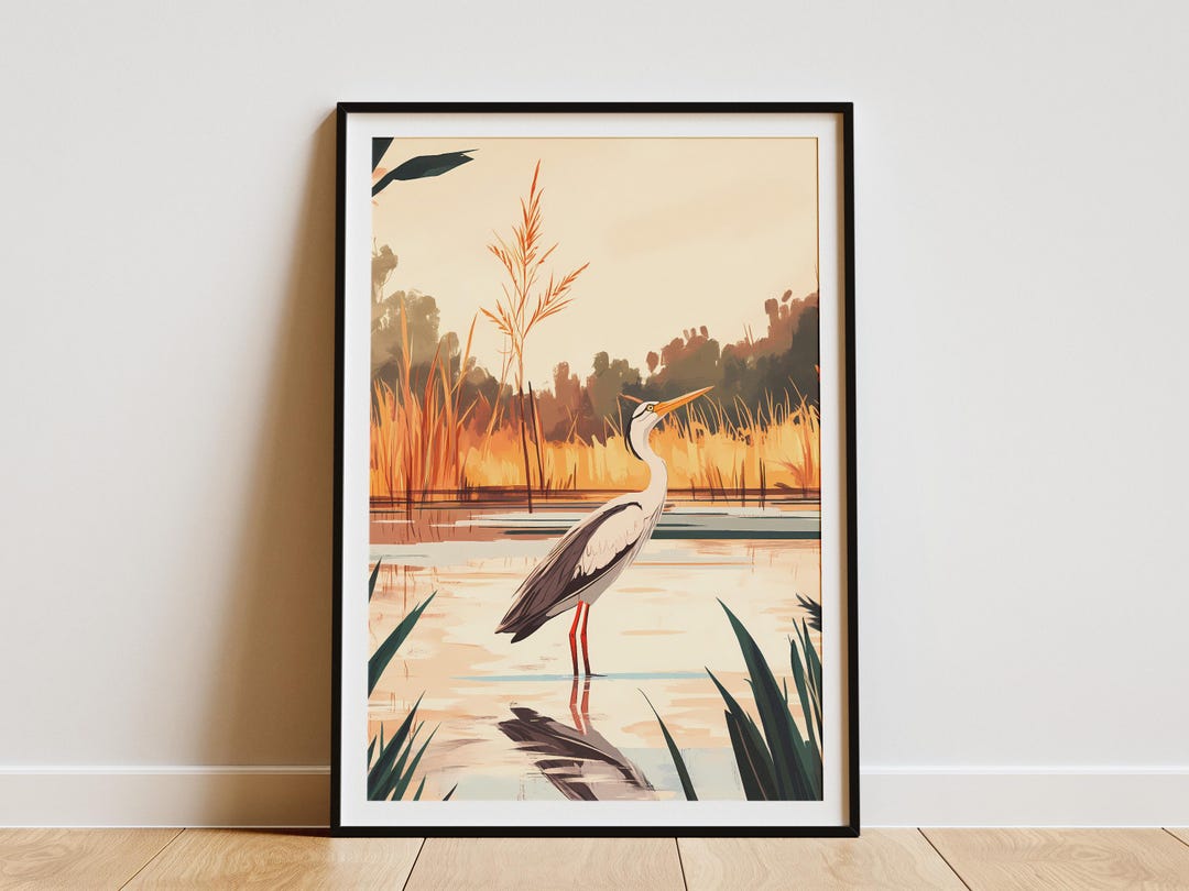Anhinga Bird Poster Swamp Art Print Coastal Bird Illustration Flat ...