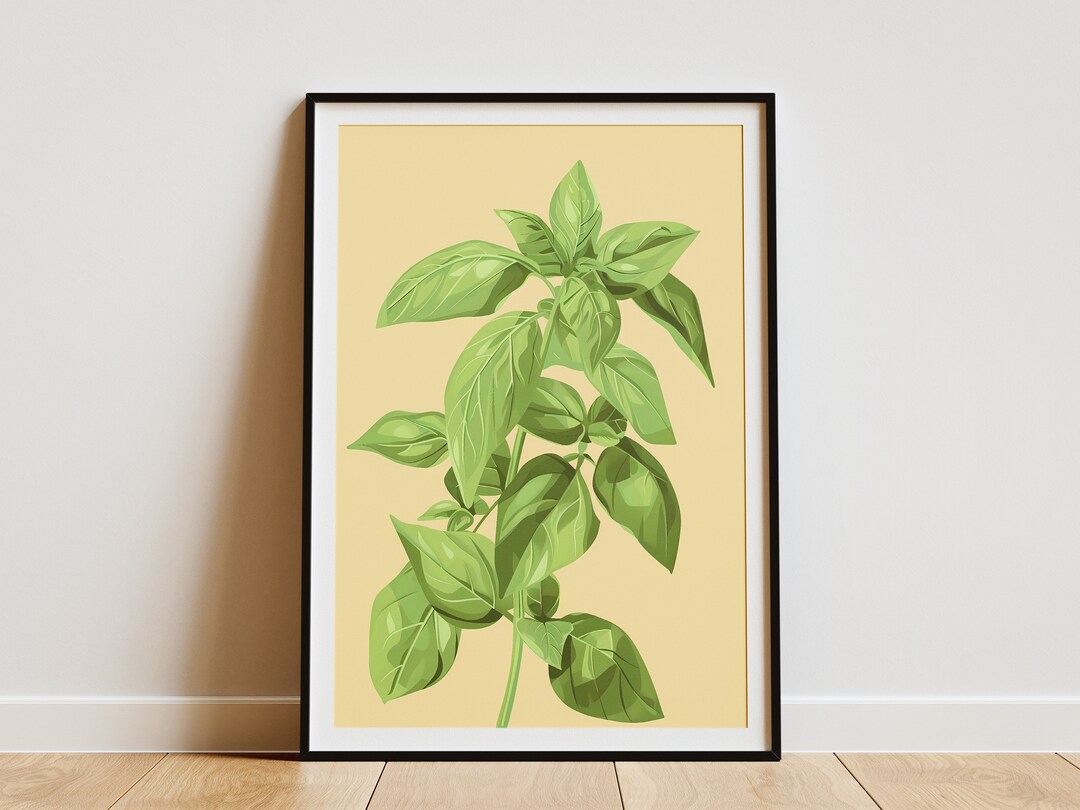 Minimalist Basil Plant Illustration Botanical Art Print Kitchen Wall ...