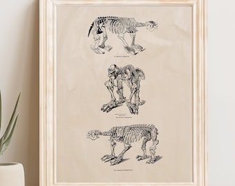 Vintage Mylodon Robustus Giant Ground Sloth 1800s Science Illustration ...