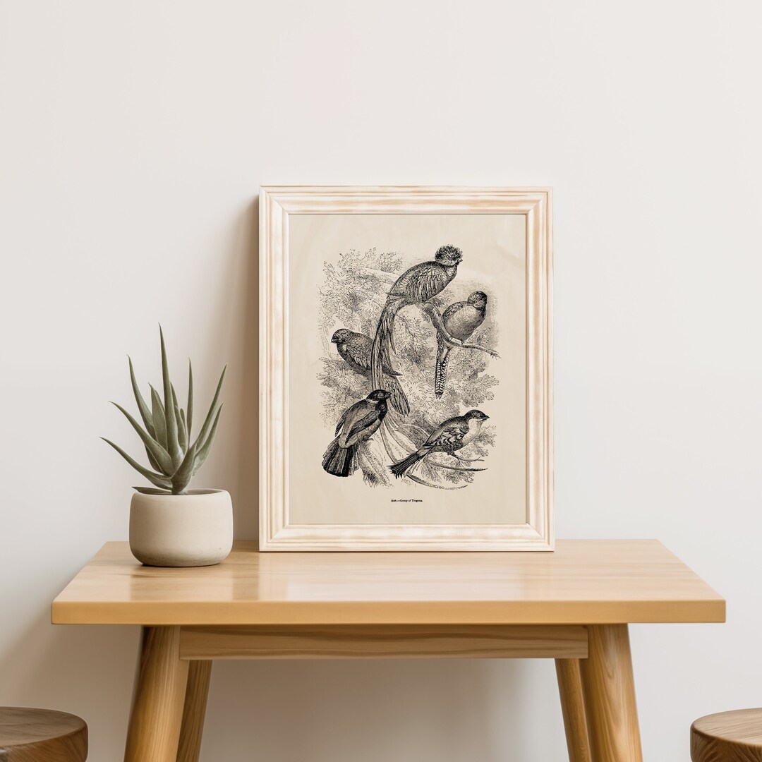 Vintage Quetzal and Trodon Birds 1800s Science Illustration Printable ...