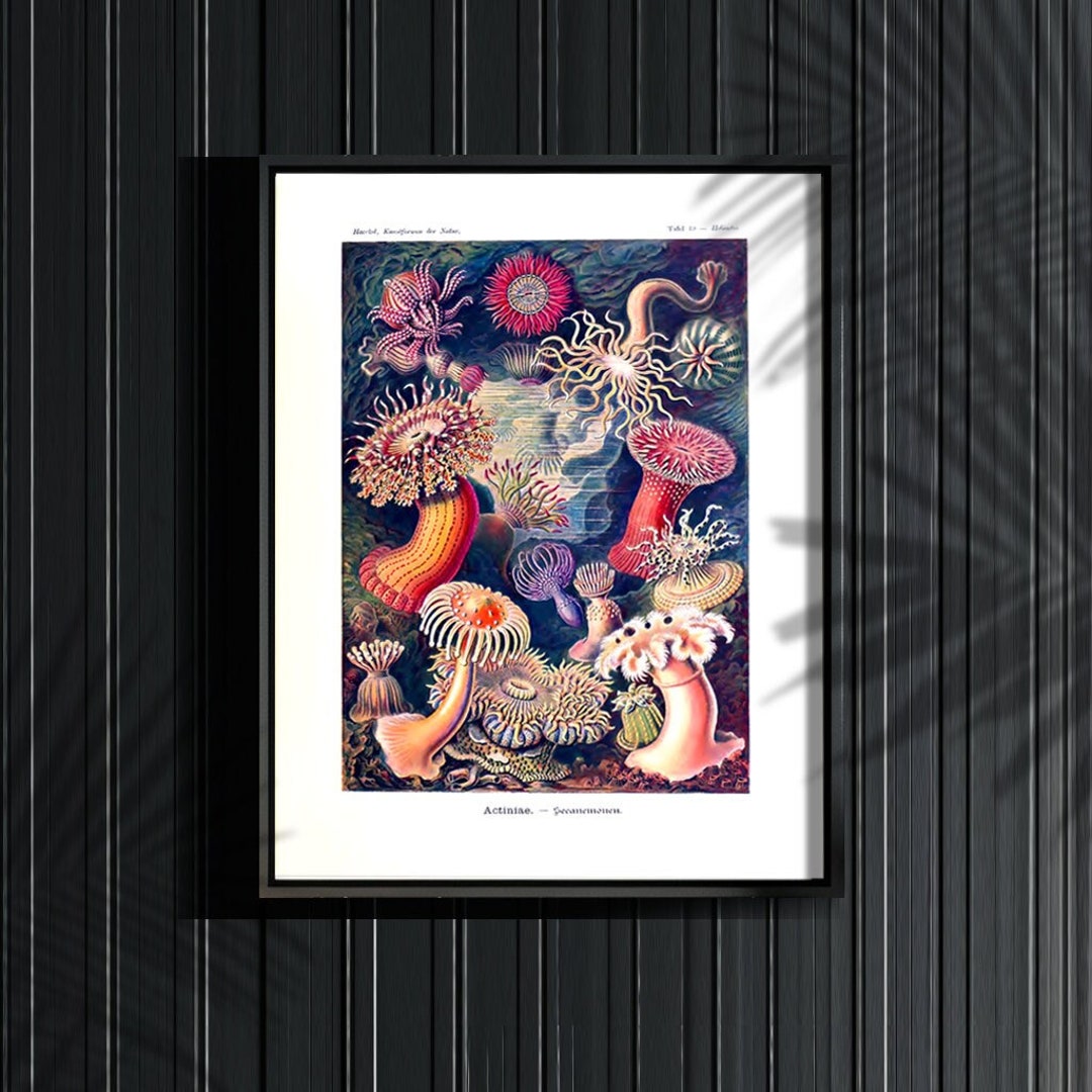 Vintage 1800s Ocean Life Science Illustration Printable Instant ...