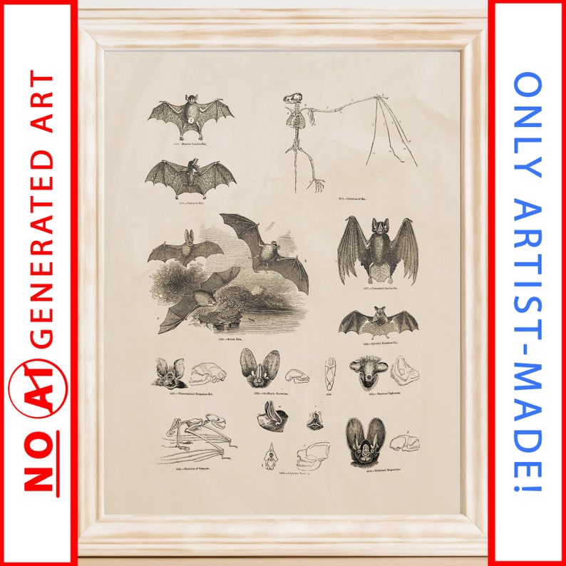 Vintage Bats 1800s Anatomy Science Illustration Printable Instant ...