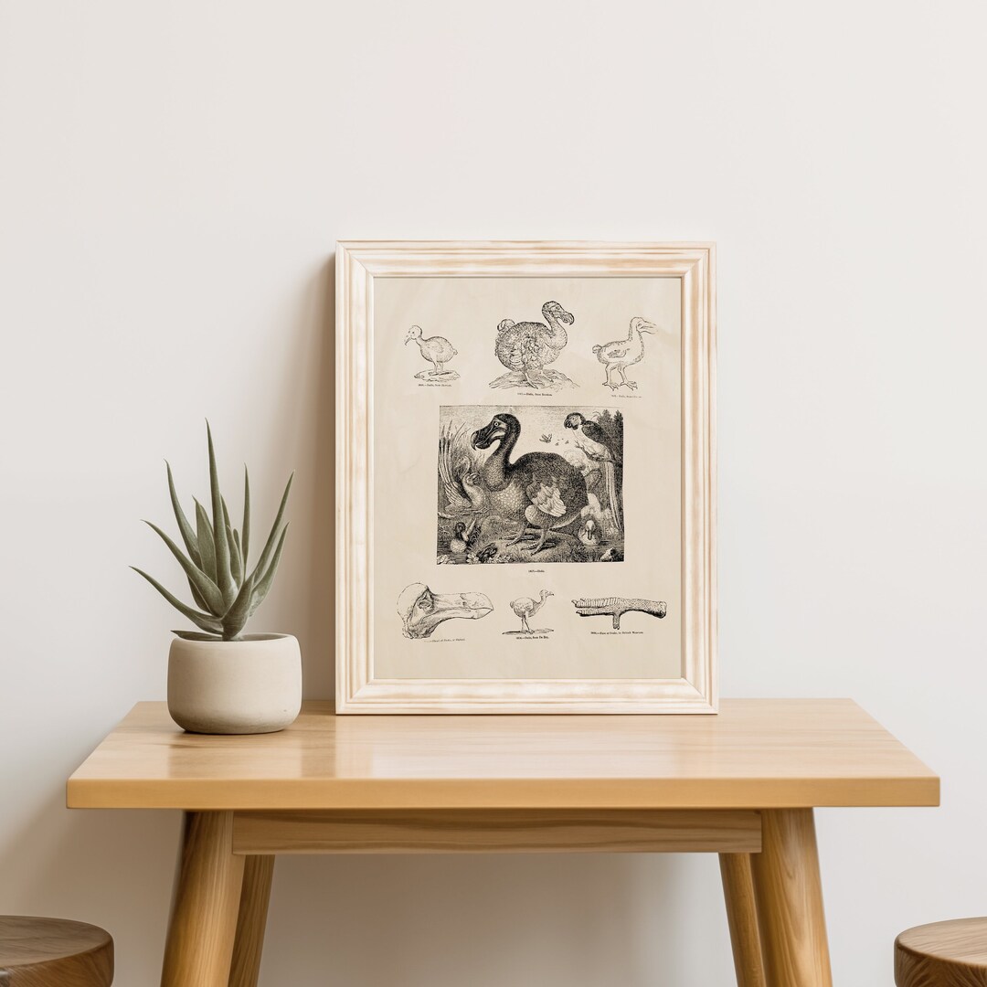 Vintage Dodo Bird 1800s Science Illustration Printable Instant Download ...