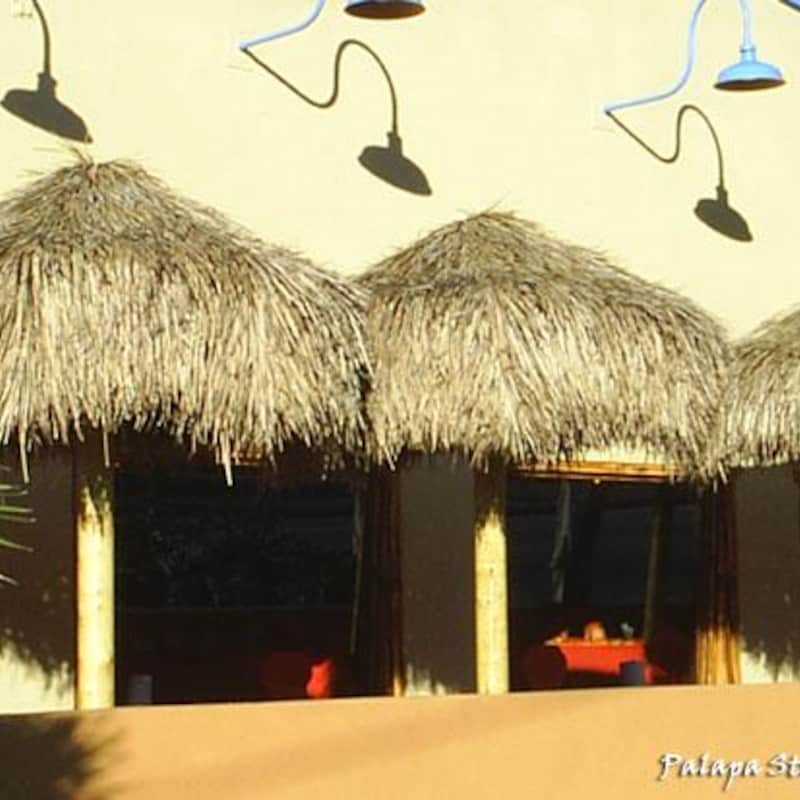 Palapa - Etsy