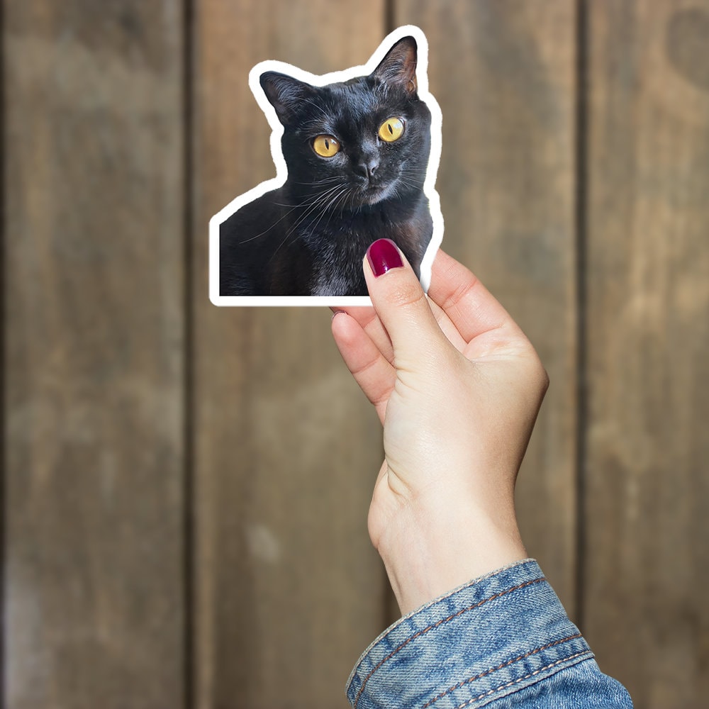 Adorable Black Cat Profile Vinyl Decal Sticker Laptop Water Bottle by ...