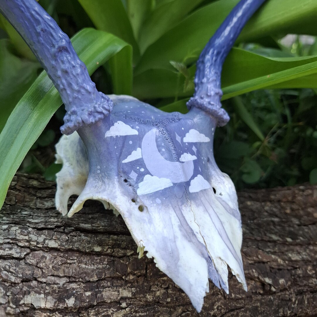 Real Painted Deer Skullcap ~ Gothic Oddity Art ~ Lavender Moon - Etsy