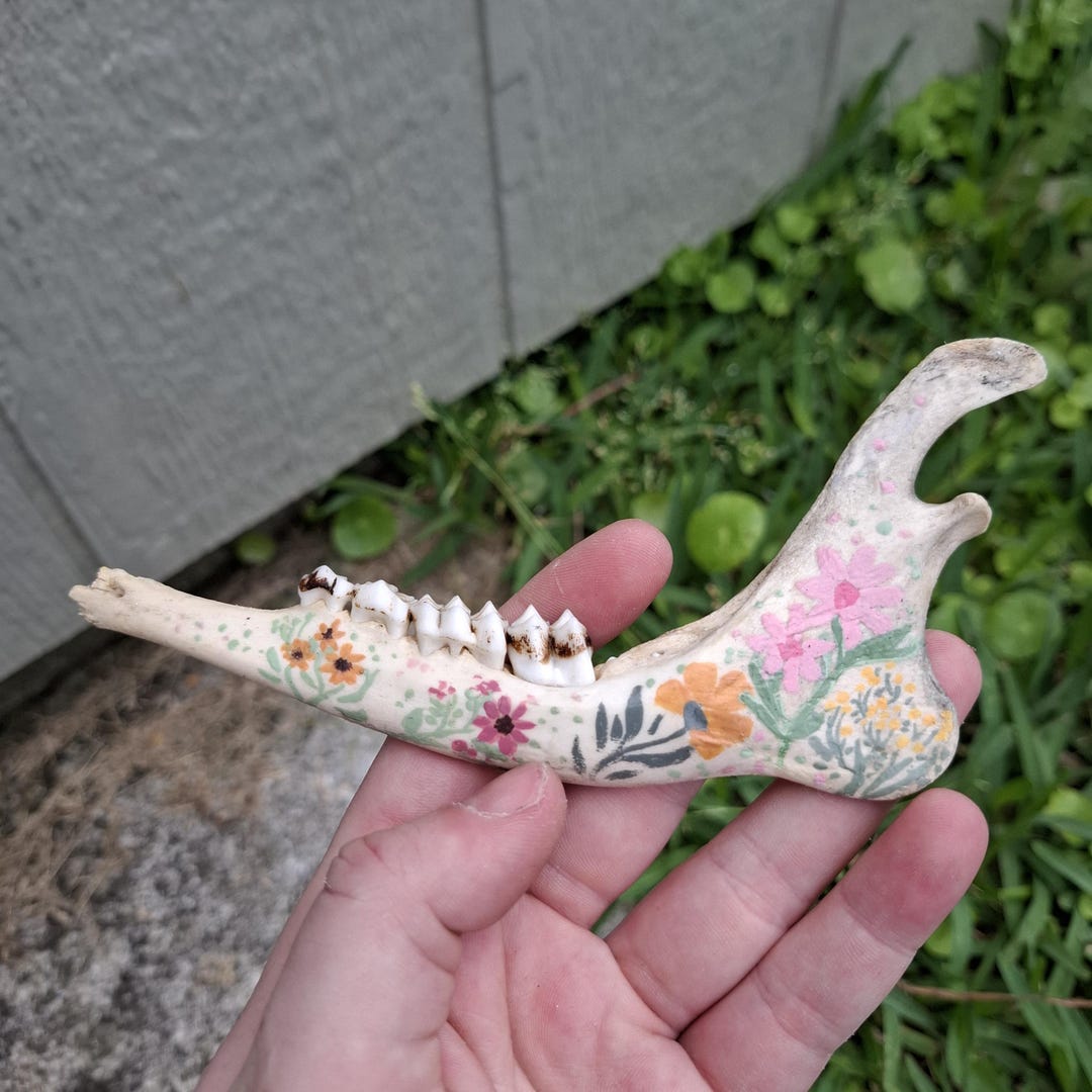 Real Painted Deer Fawn Jawbone ~ Gothic Oddity Art ~ Spring Wildflowers ...