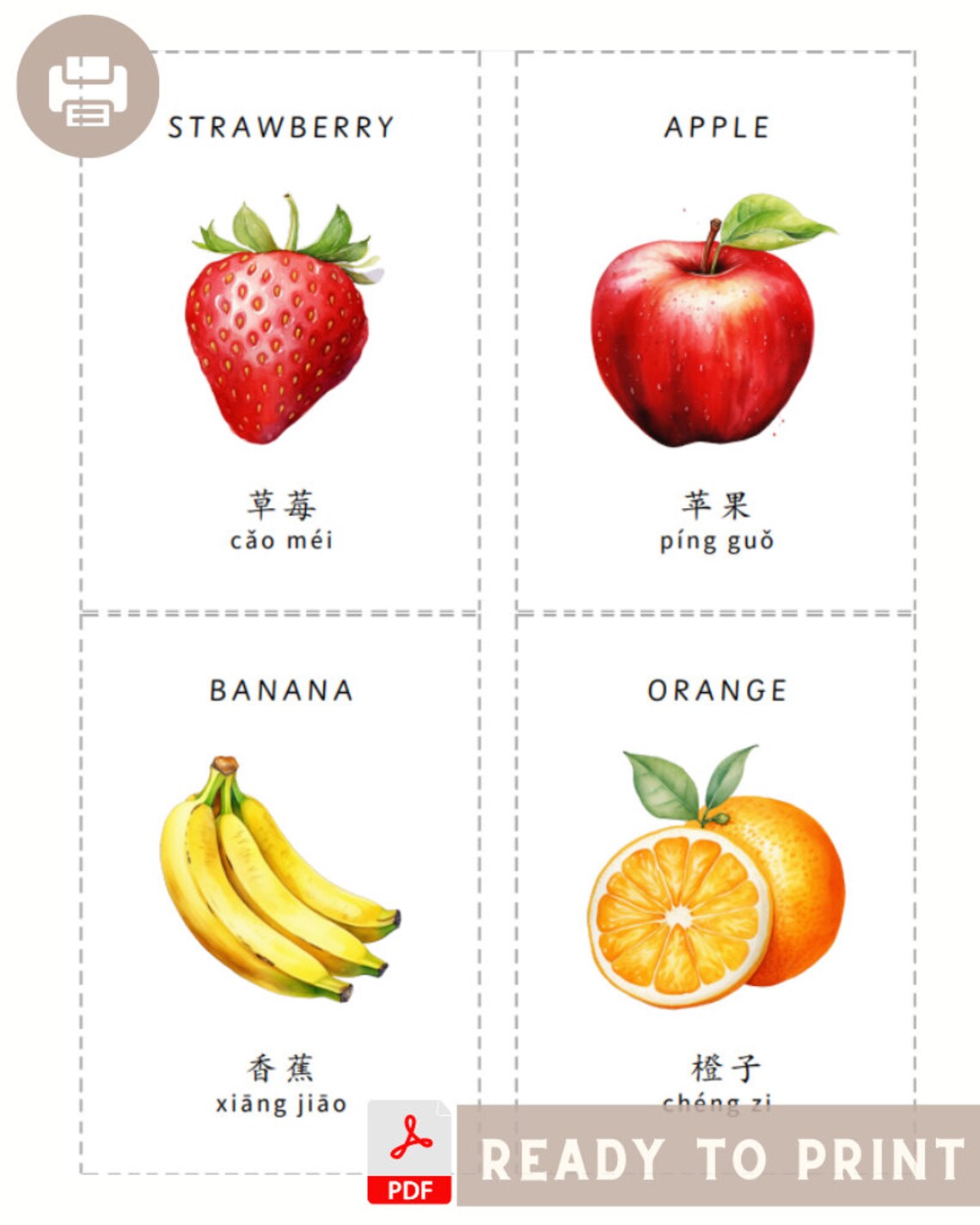28 Fruit Bilingual Flashcards / English to Japanese, Chinese, Korean ...