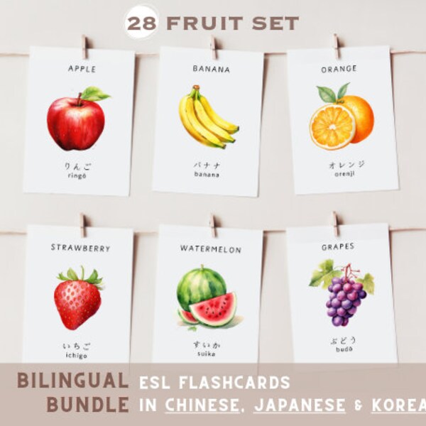 Korean Flashcards - Etsy