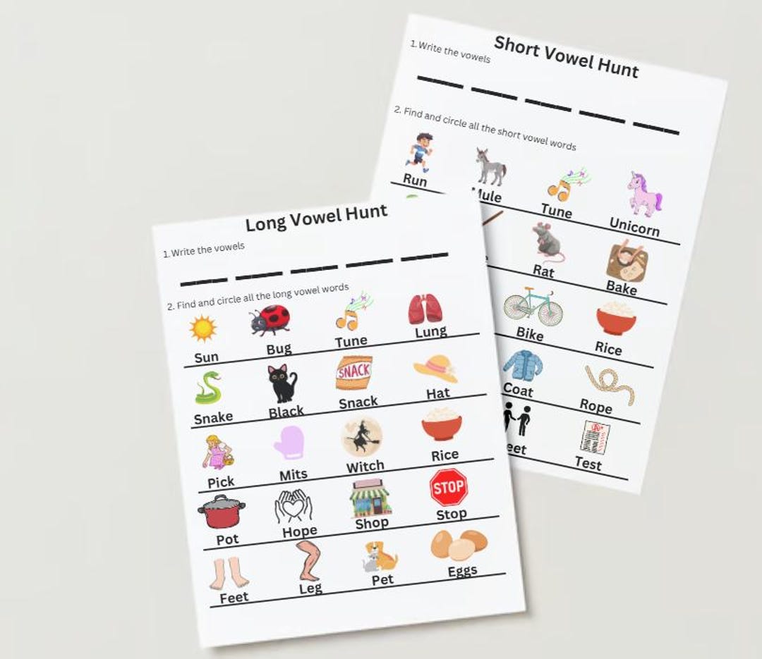 Vowel Hunt Worksheet for Kids| Practice Vowel Identification| Phonemic ...