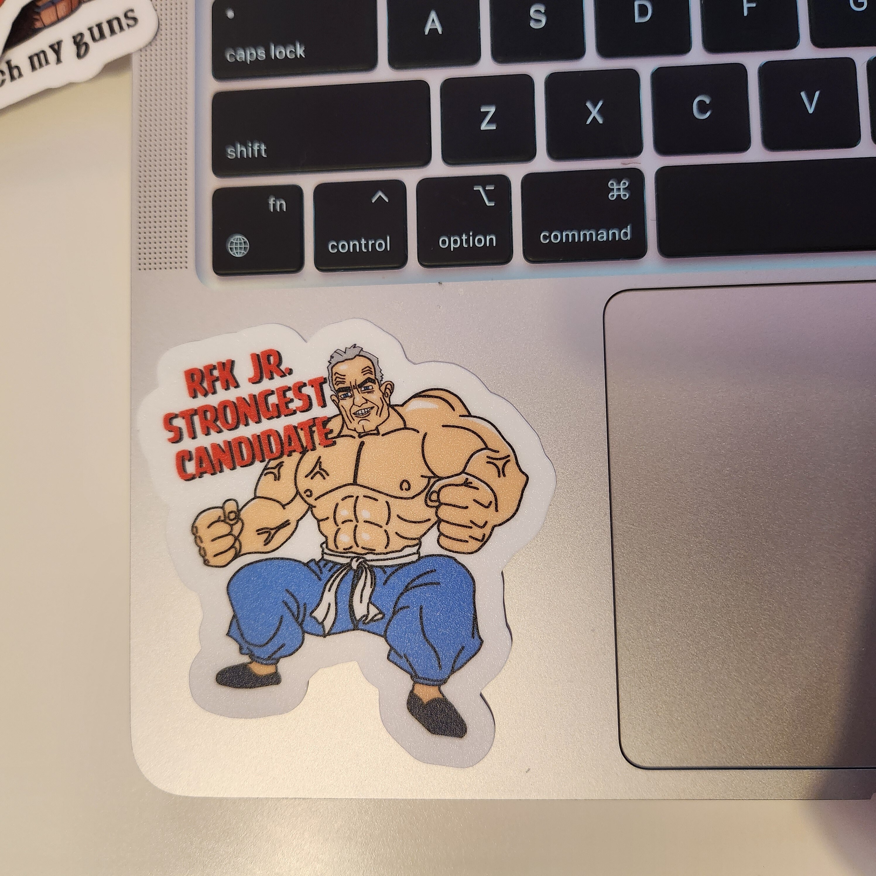 RFK Jr. - Strongest Candidate | Libertarian Sticker - Etsy
