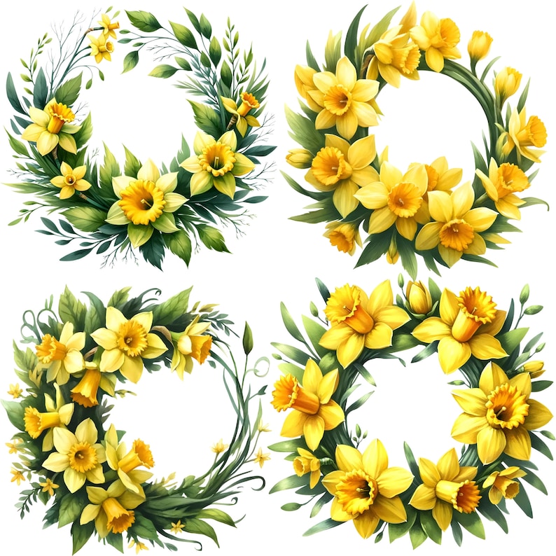 Daffodil Flower Watercolor Clipart, Spring Flower, Floral for ...