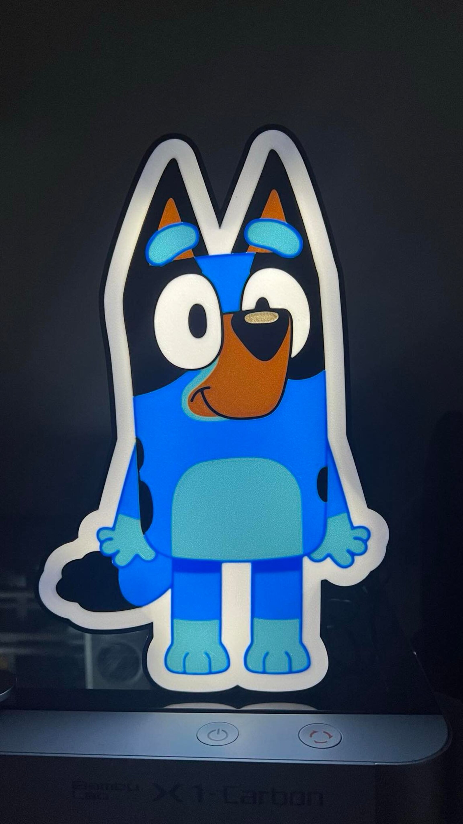 Bluey Lightbox Bluey - Etsy