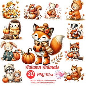 Woodlandanimals Clipart Woodlandanimal Png Woodland Babies Animated ...