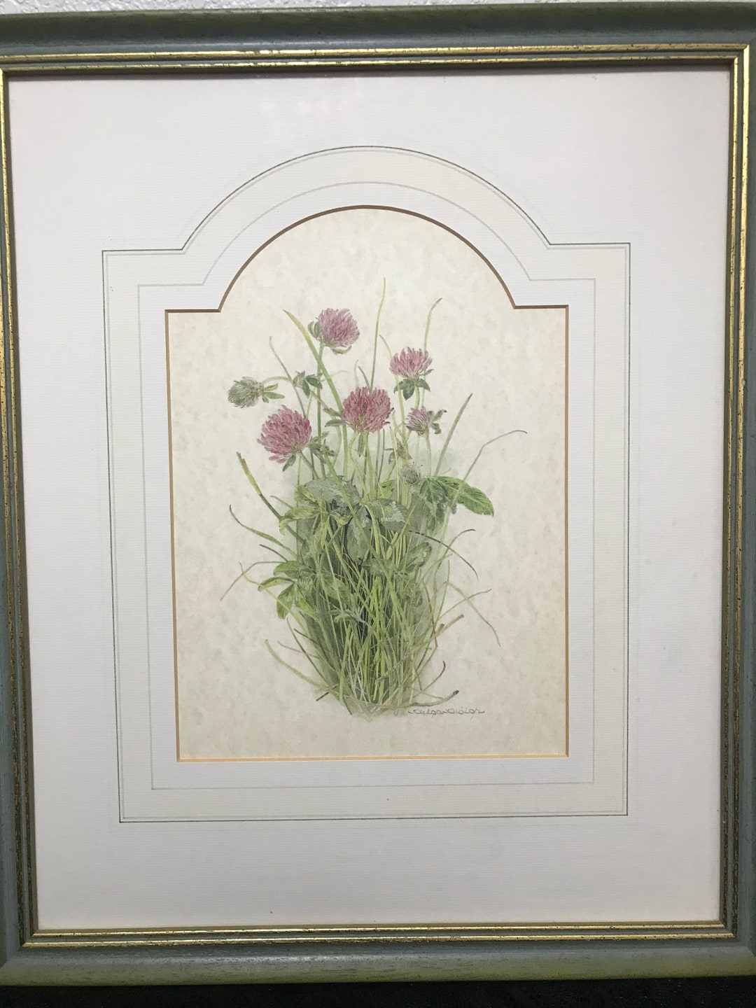 Helga Hislop Red Clover Signed by Artist 18 1/2 Inches X 15 1/2 Inches ...