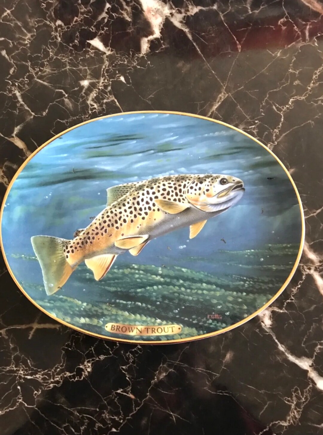 1995 the Bradford Exchange Brown Trout Collectible Plate by Edward L ...