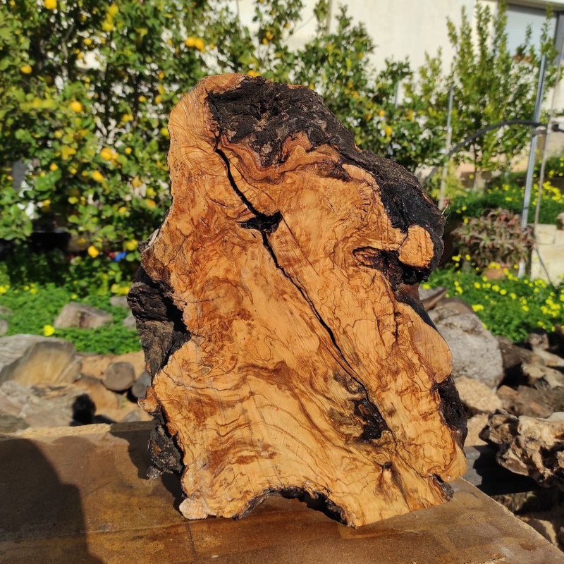 Olive Wood - Etsy