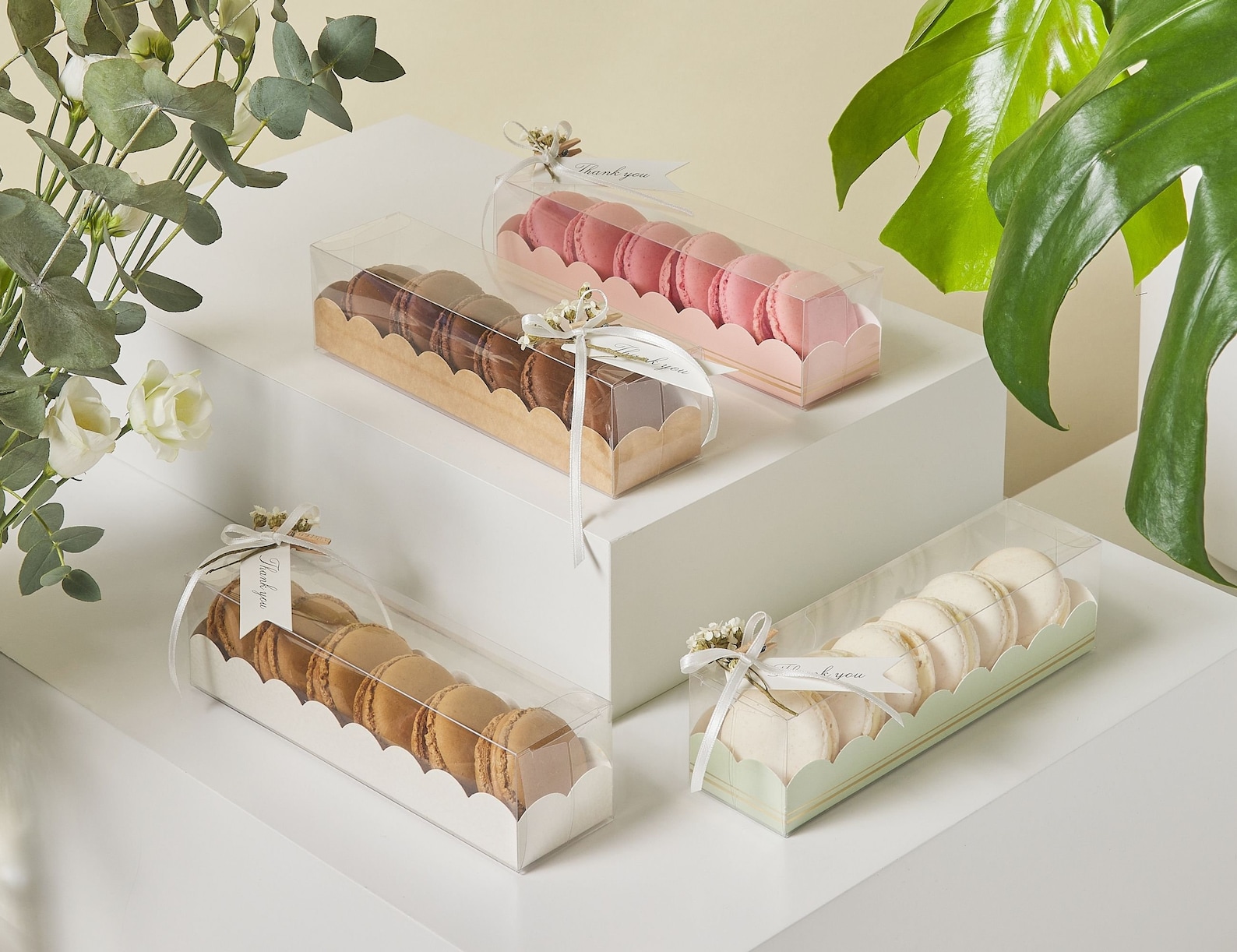 Set of 25 Macaron Boxes With Clear Window for 3/6/7 Macarons Ideal for ...