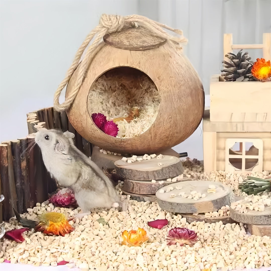 Hamster Coconut Shell Nest,hamster House Decoration,hamster Hideout,pet ...