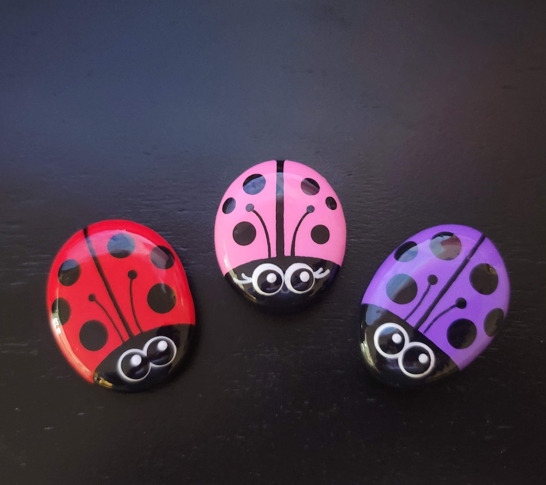 Ladybug Painted Rocks, Party Favor, Friendship Gift, Purple Pink Red ...