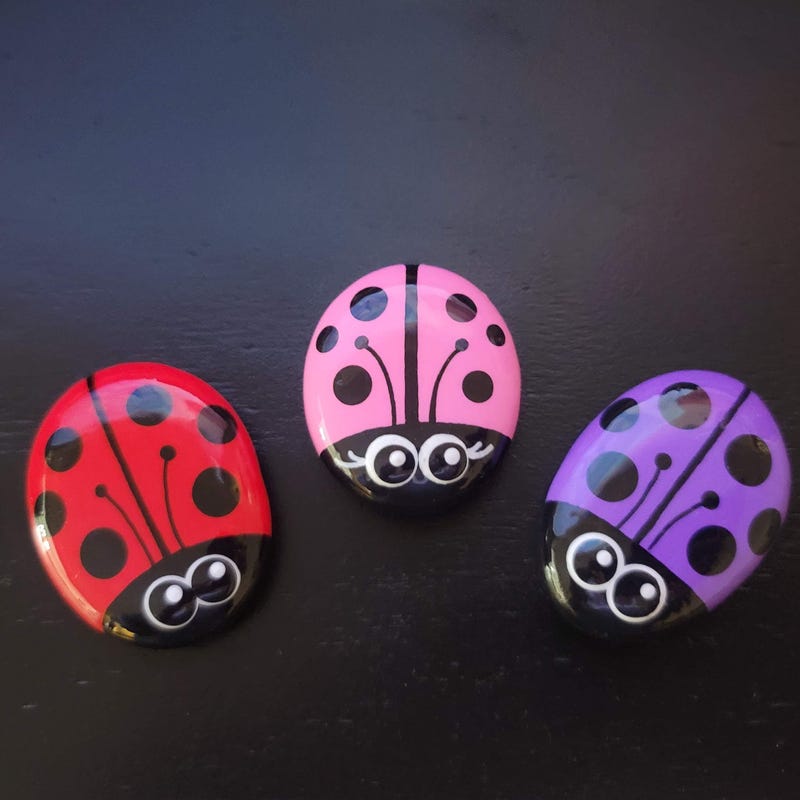 Ladybug Painted Rocks - Etsy