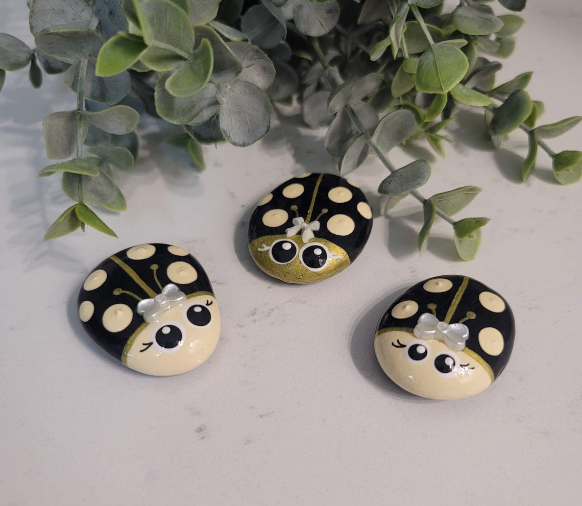 Ladybug Painted Rocks, Fancy Ladybugs, Party Favor, Friendship Gift ...