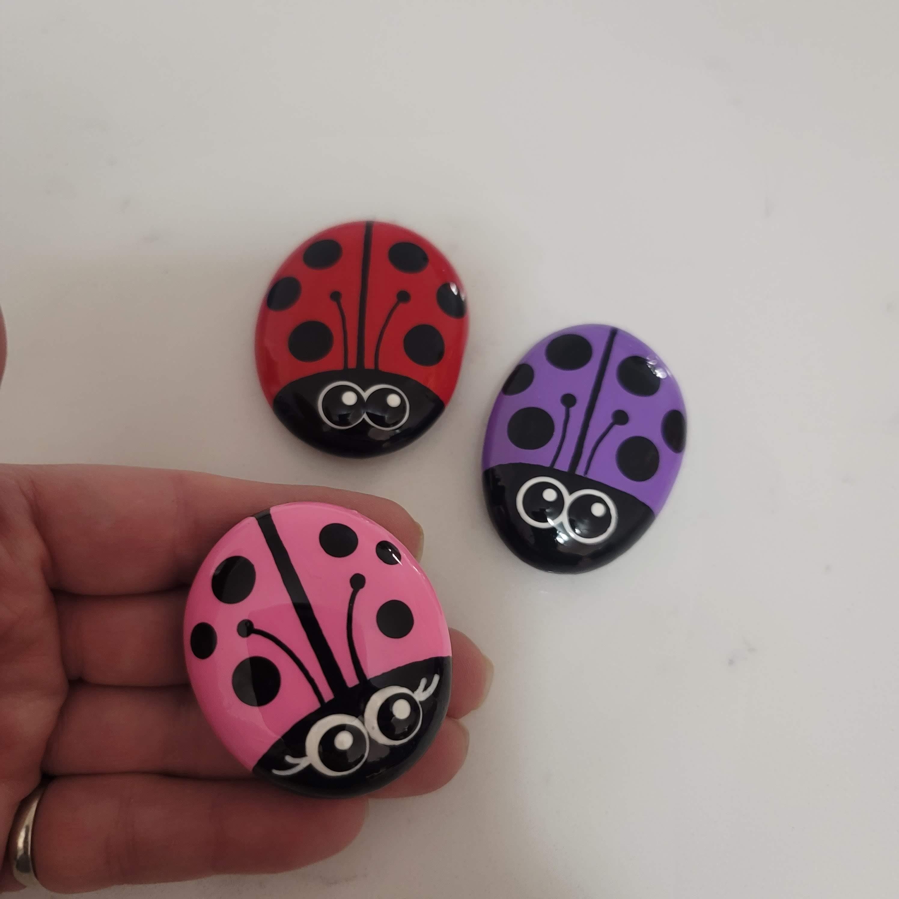 Ladybug Painted Rocks, Party Favor, Friendship Gift, Purple Pink Red ...