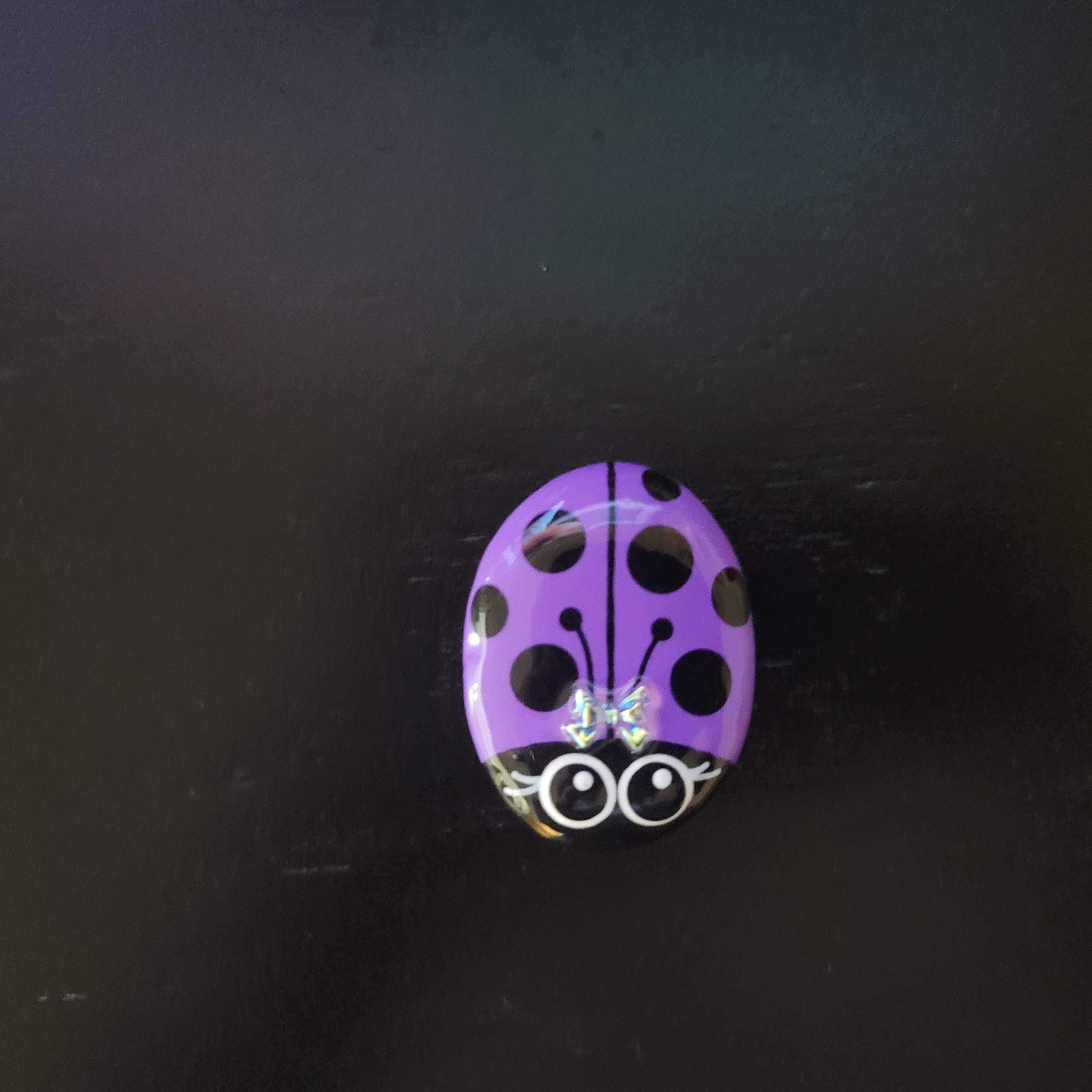 Ladybug Painted Rocks, Fancy Ladybugs, Party Favor, Friendship Gift, Purple Ladybug, Kindness ...