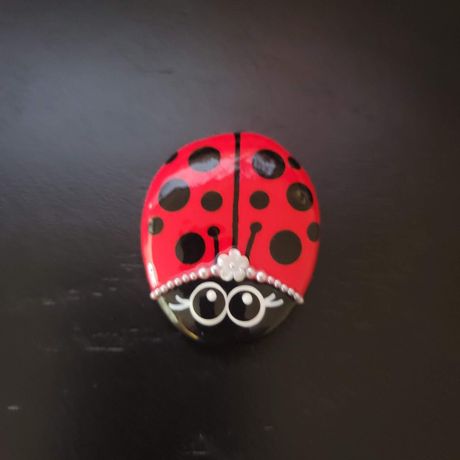Ladybug Painted Rocks, Fancy Ladybugs, Party Favor, Friendship Gift, Red Ladybug, Kindness Rocks ...
