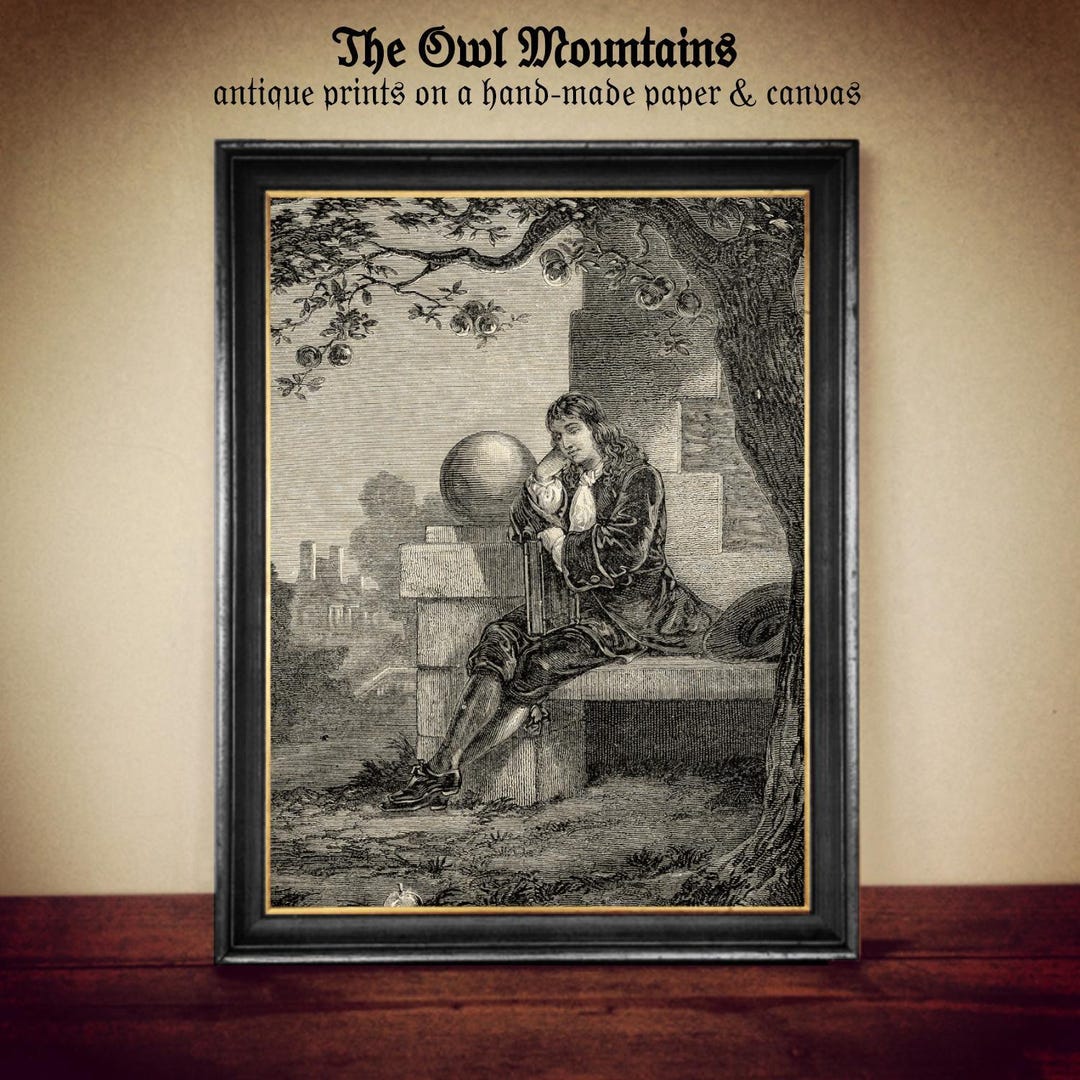 Sir Isaac Newton Under Apple Tree - 1600s Engraving Print - Vintage ...