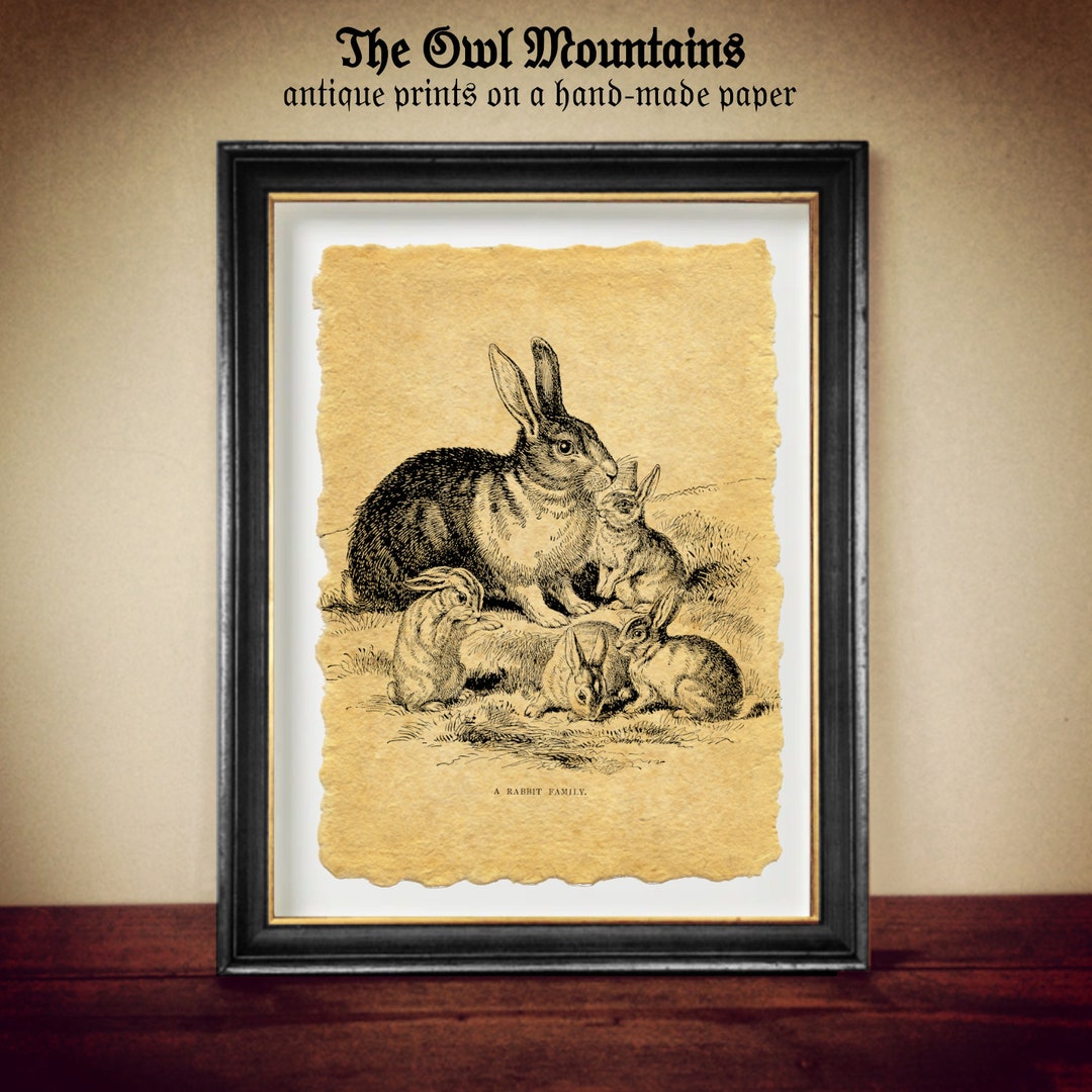 Rabbit - Symbol of Fertility and Prosperity, Rabbit Family Print ...