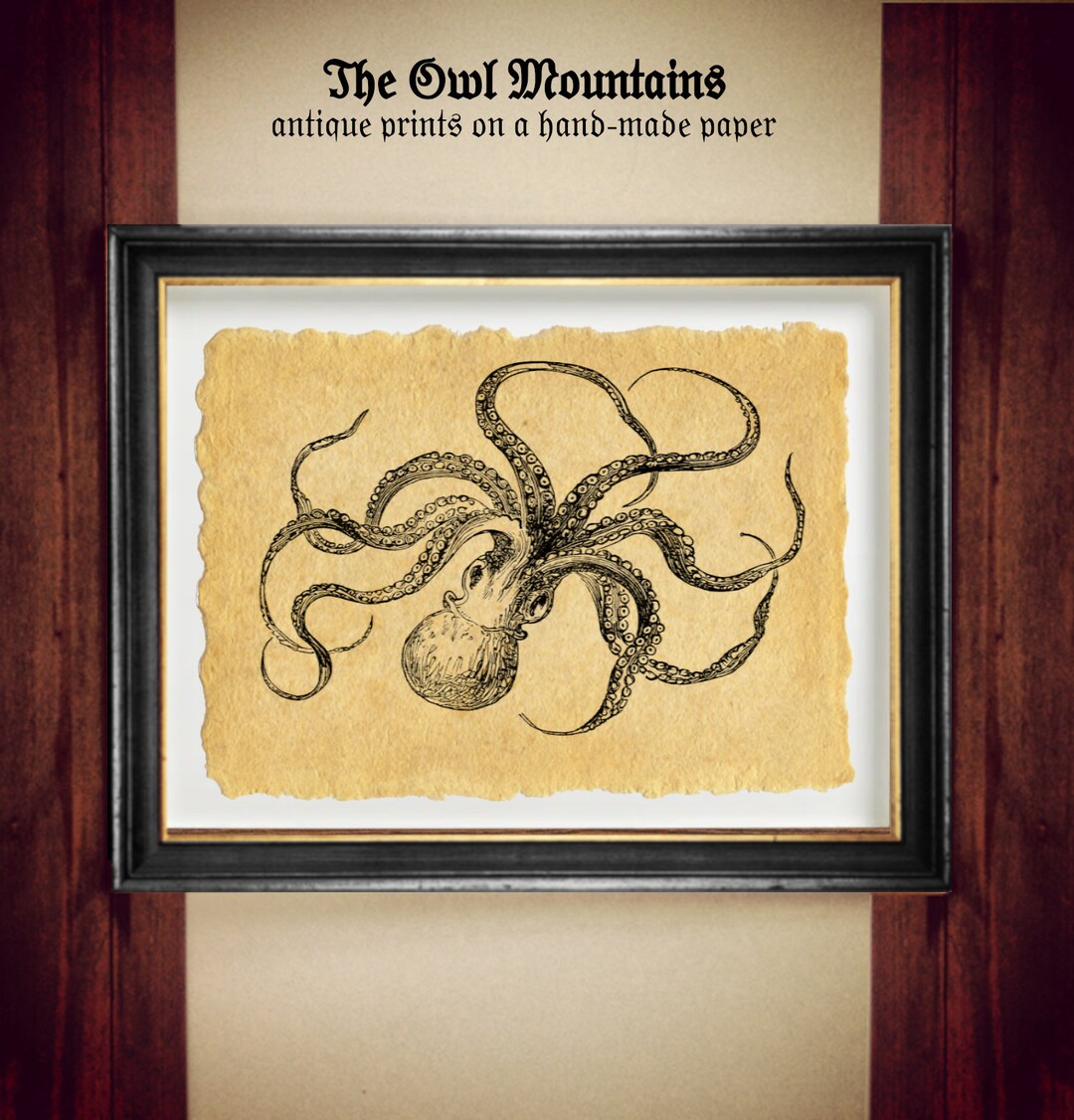 Octopus - Symbol of Wisdom, Intelligence, and Complexity, Print on a ...