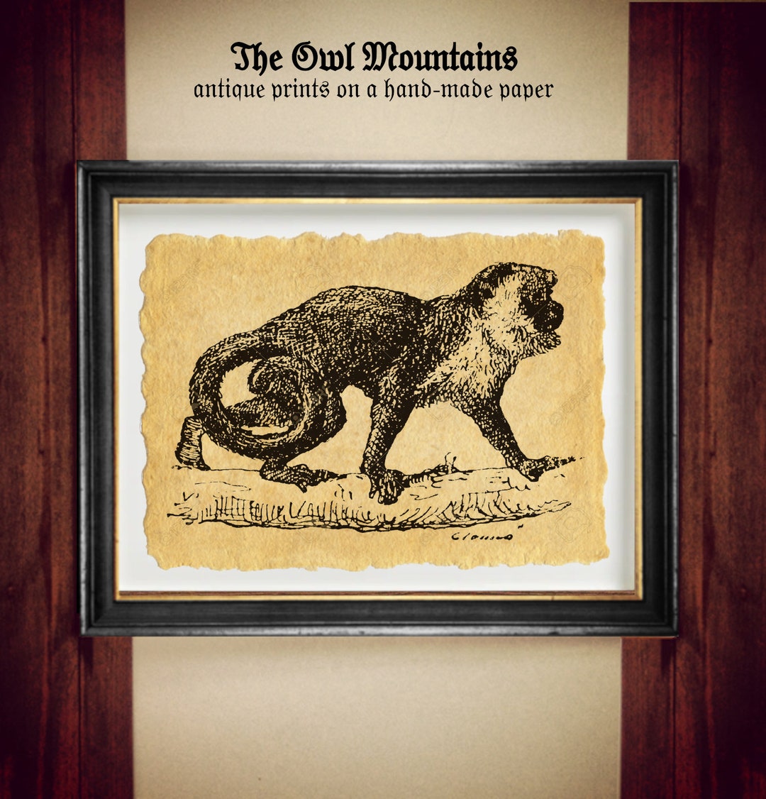 Monkey - Symbol of Intelligence, Playfulness, and Adaptability, Print ...